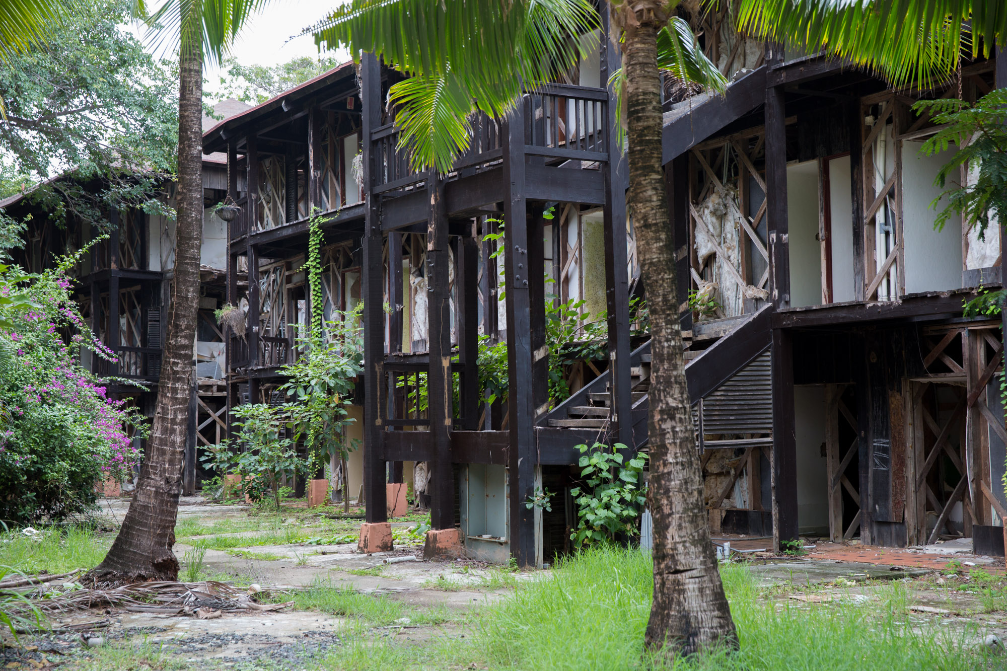 Un paseo por isla Contadora – El Perro Viajante
