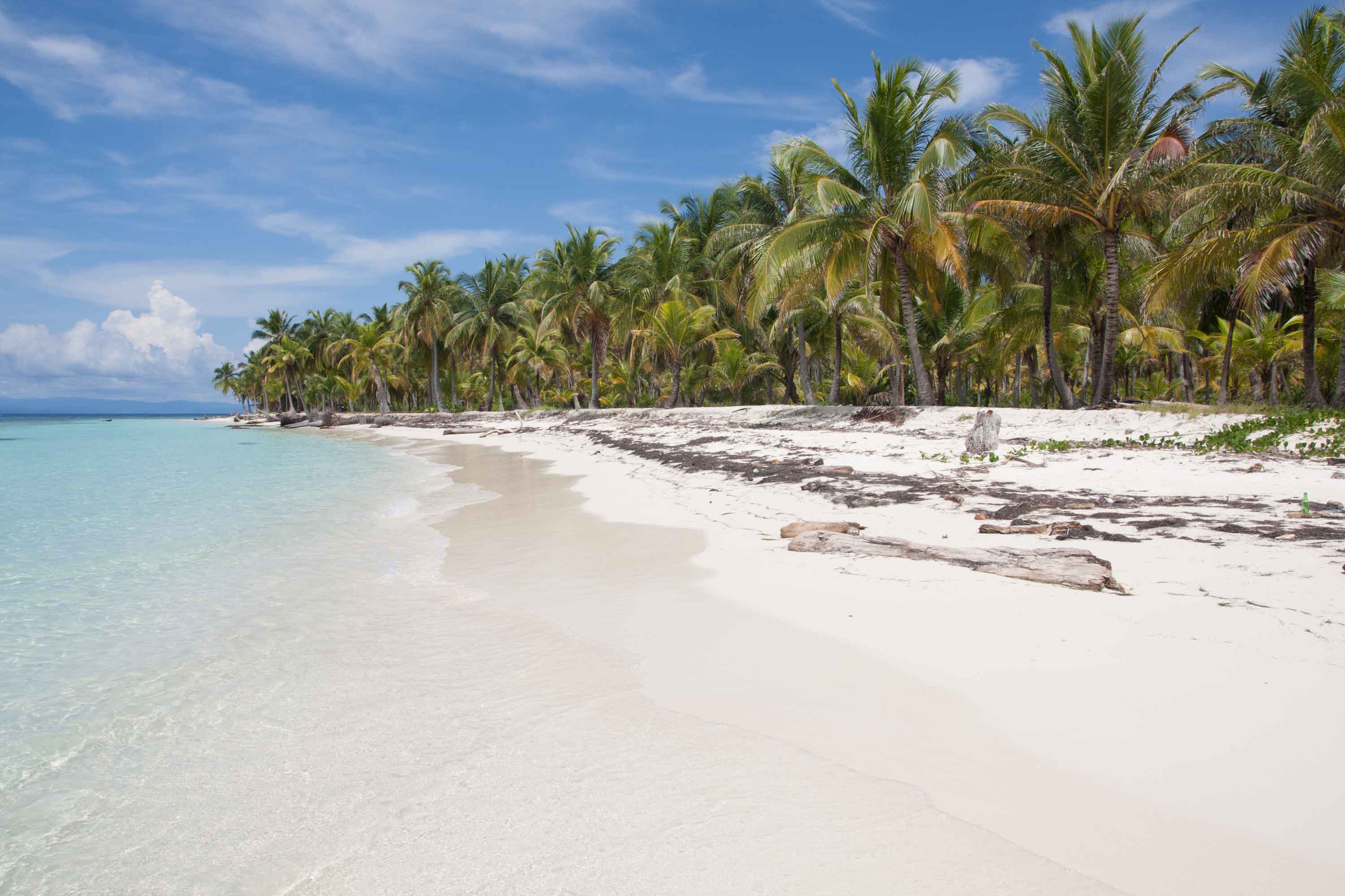Cómo Llegar A Las Islas De Guna Yala O San Blas El Perro Viajante