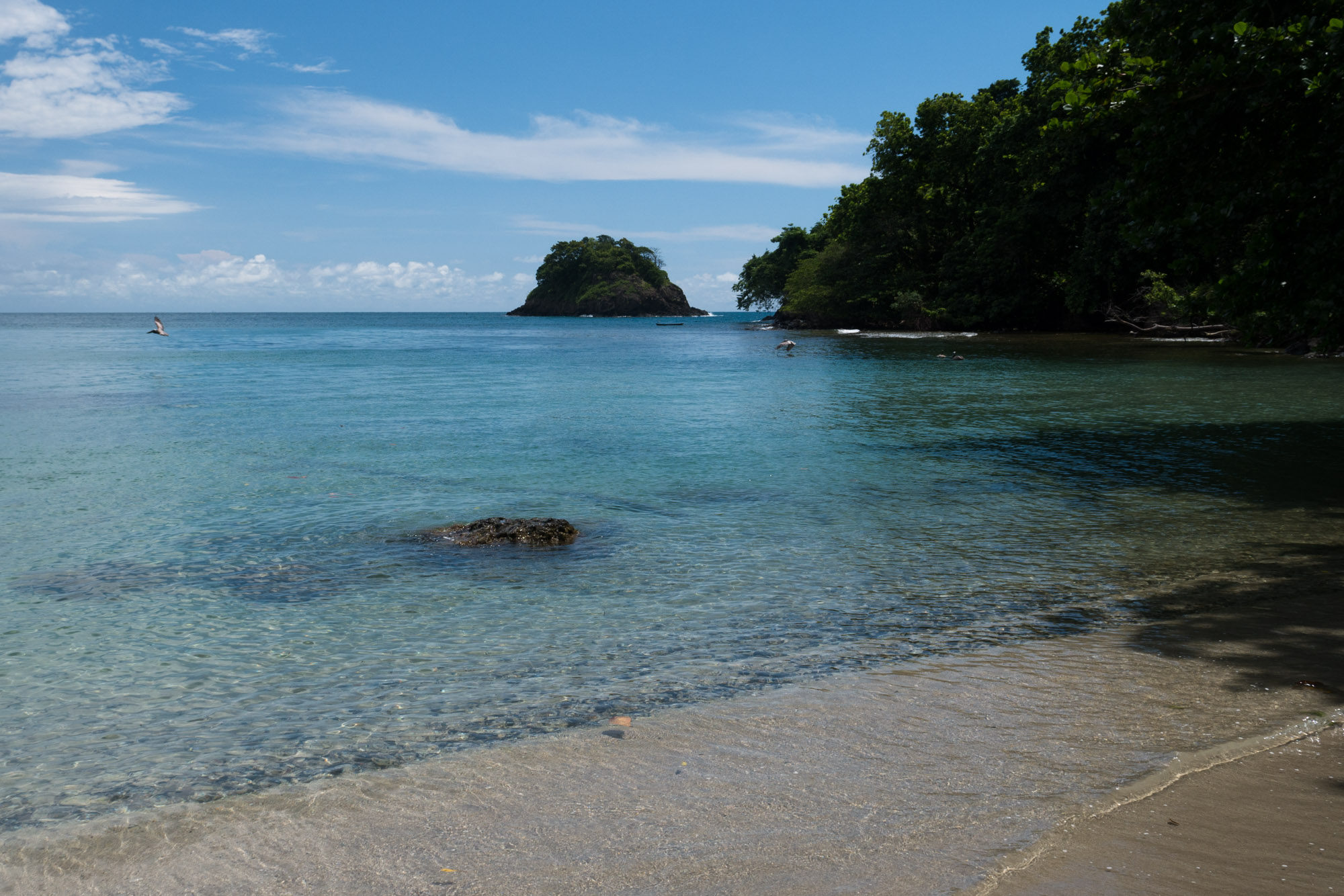 Playas De Panama Pacifico - Marcus Reid